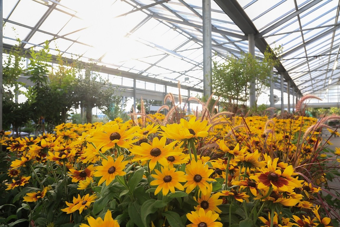 KNAPP 1 MILLION EURO INVESTITION FÜR NEUERÖFFNUNG: GRÜN NEU ENTDECKEN ...