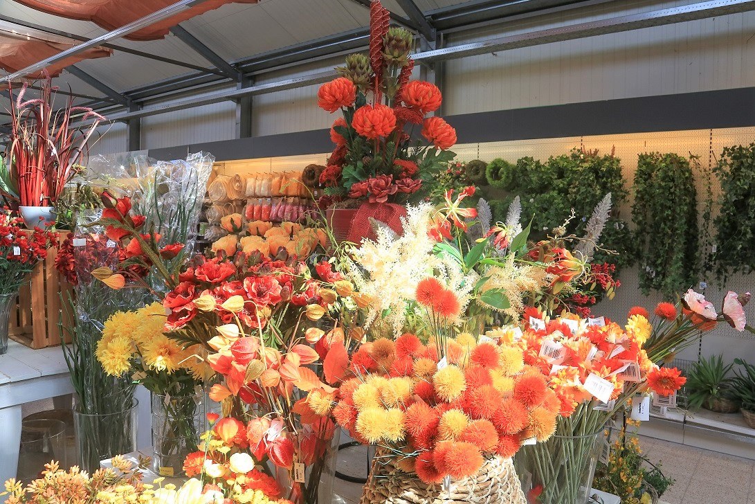 20 JAHRE GRÜNER WIRTSCHAFTSFAKTOR: BELLAFLORA SCHWECHAT FEIERT GROSSES ...